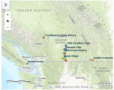 MyWinePal: Summarizing the BC Pinot Noir Review with a Cool Map