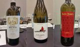 MyWinePal: DYNAMIC SPAIN Seminar at VanWineFest 2018