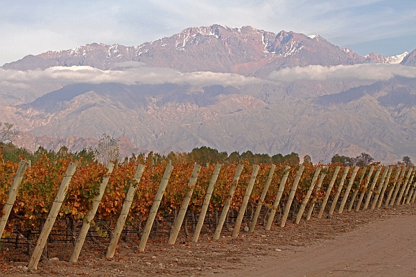 MyWinePal: Taste UKO Wines from Argentina at VanWineFest 2023